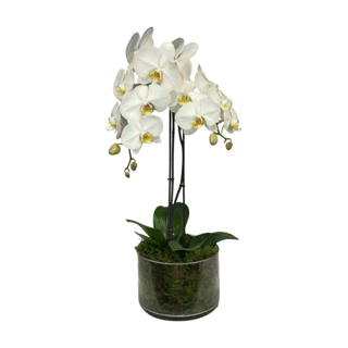 Flowers Delivery near Melbourne, CBD | Order Online Florist Melbourne, CBD